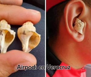 Joyas más virales de Veracruz: Los mejores memes – GeeksTerra
