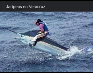 Joyas más virales de Veracruz: Los mejores memes – GeeksTerra
